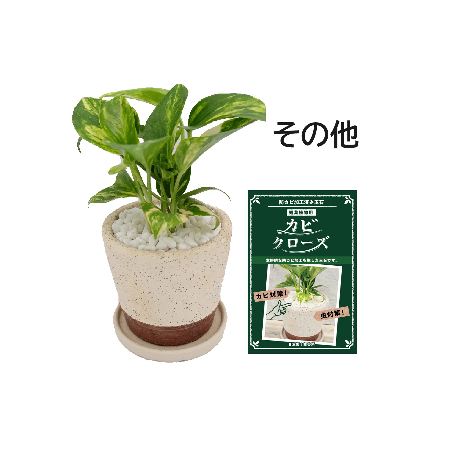 合同会社Ulec | 部分的なクリーニングからお家全体のクリーニングまで柔軟にご対応